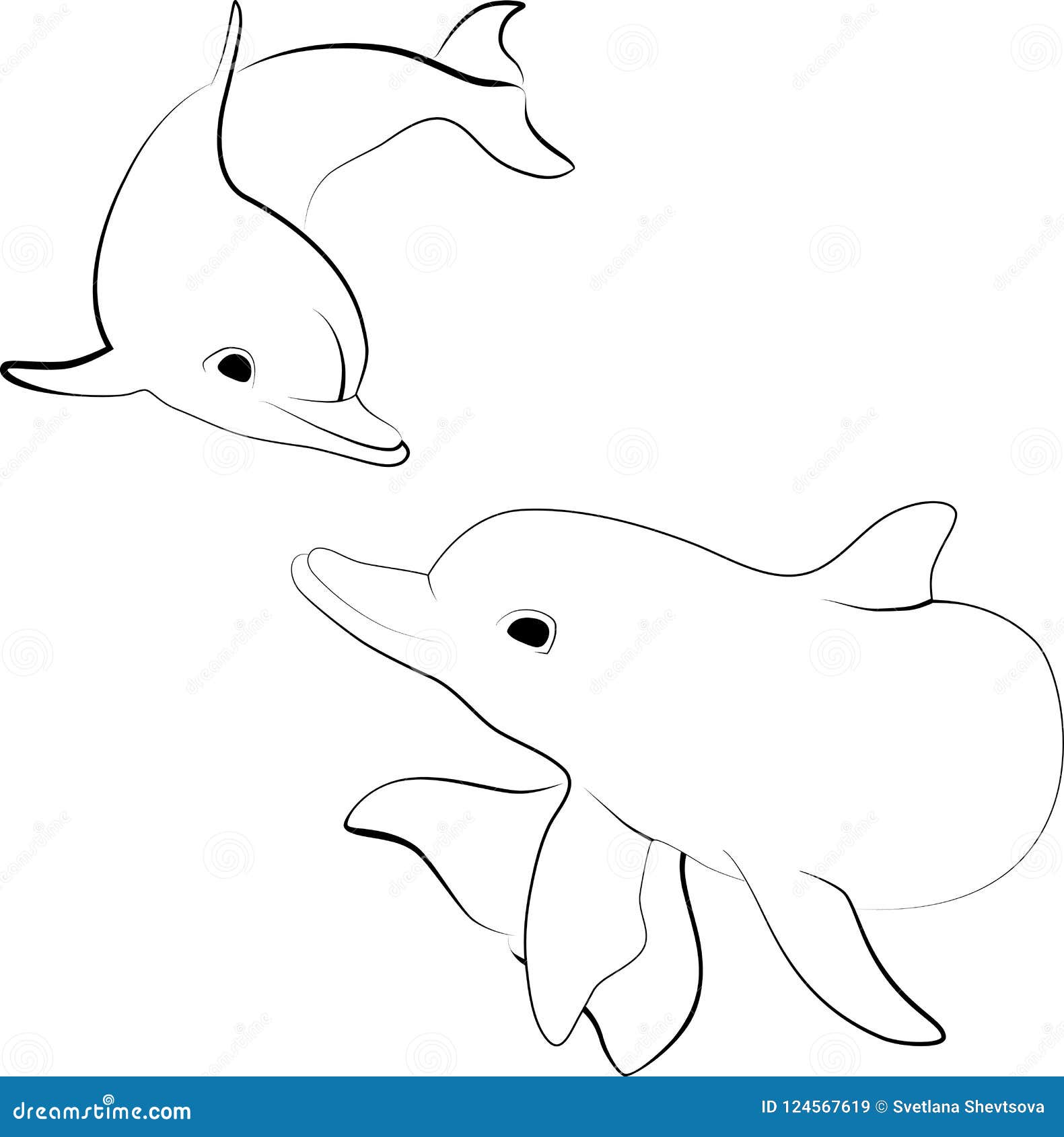Contour Image of Dolphins on White Background. Stock Vector ...