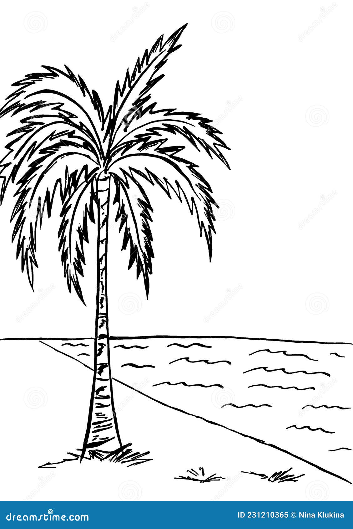 Contour Image of a Palm Tree on the Beach Stock Illustration ...