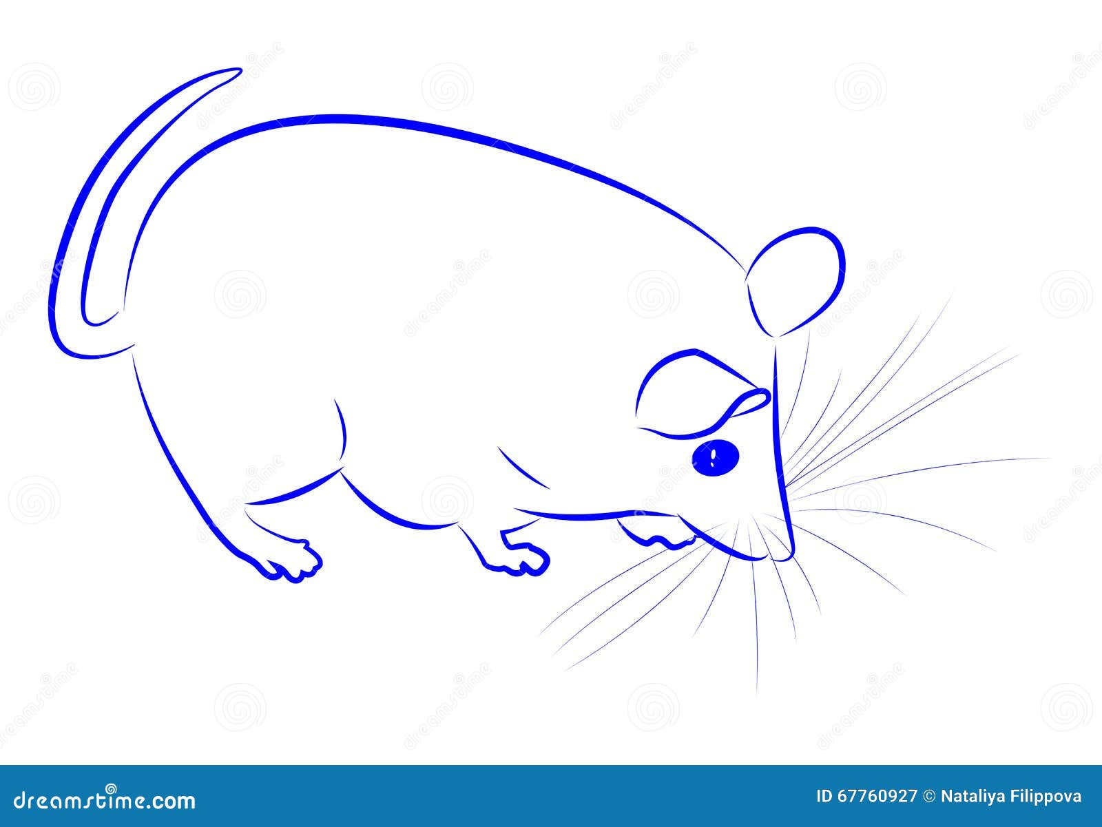 Contour of mouse stock vector. Illustration of outline - 67760927