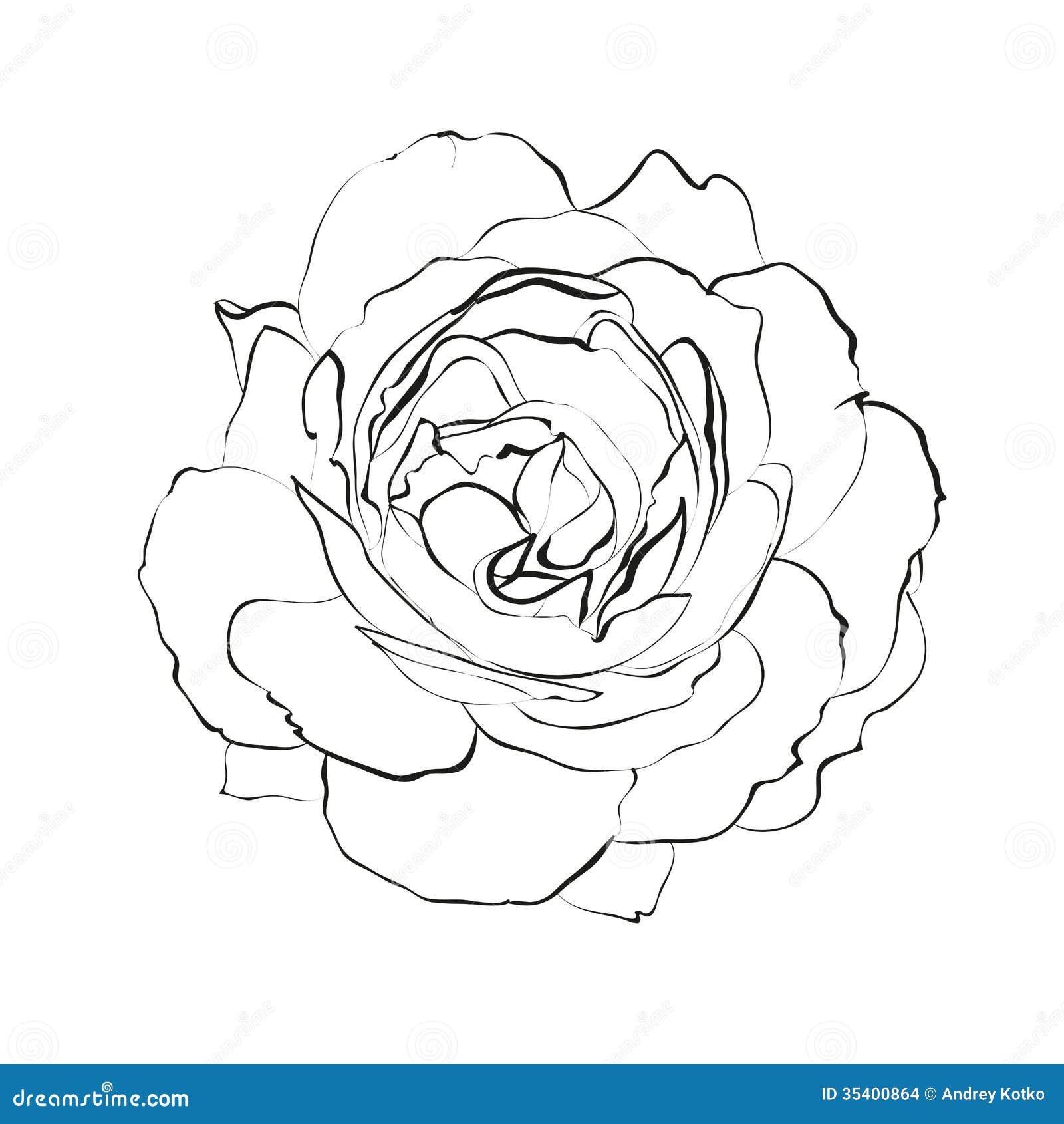 Contour of rose. stock vector. Illustration of leaf, decorative - 35400864