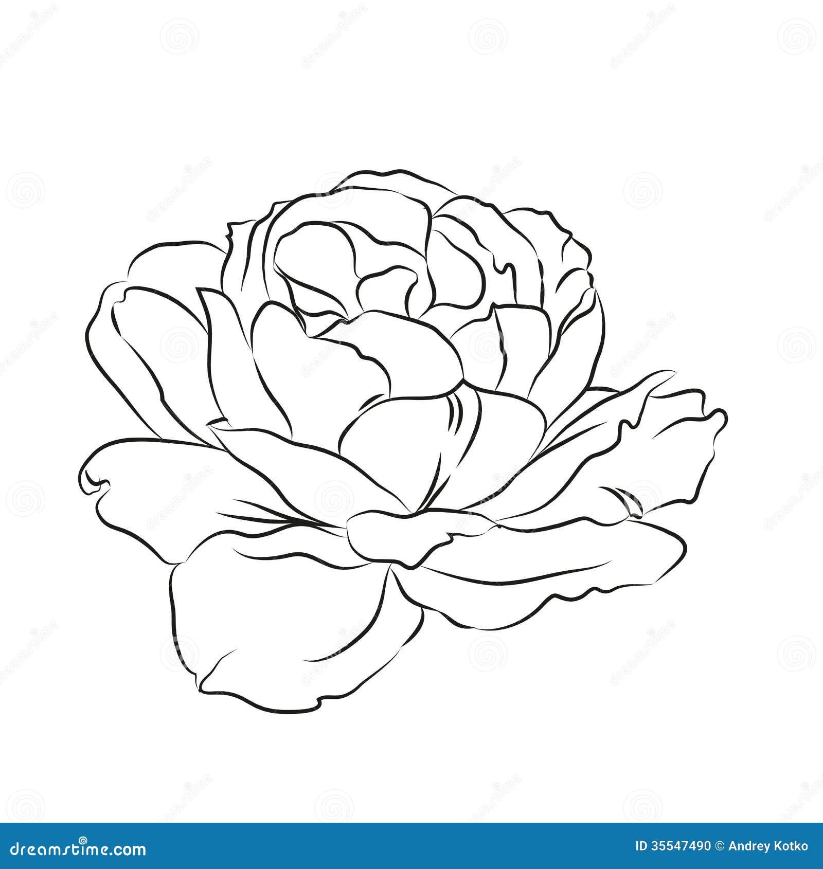 Contour of rose. stock vector. Illustration of border - 35547490