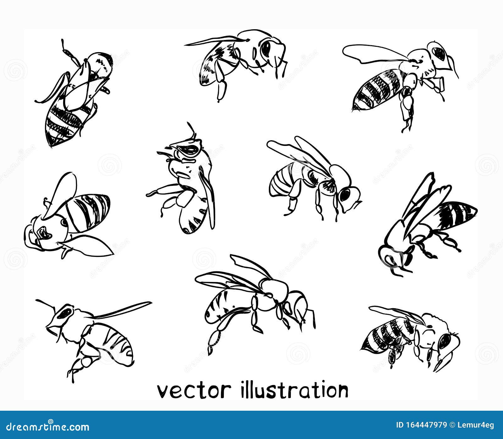 Sketch of bees stock vector. Illustration of doodle - 164447979