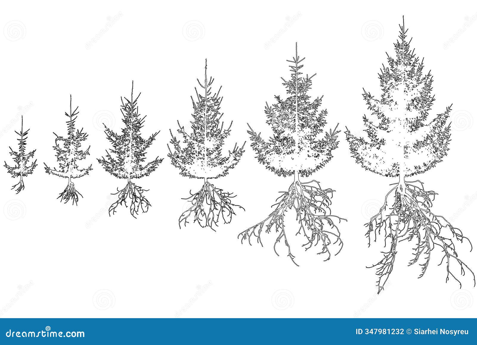 Life Process Of Golden Tree. Vector | CartoonDealer.com #14042889