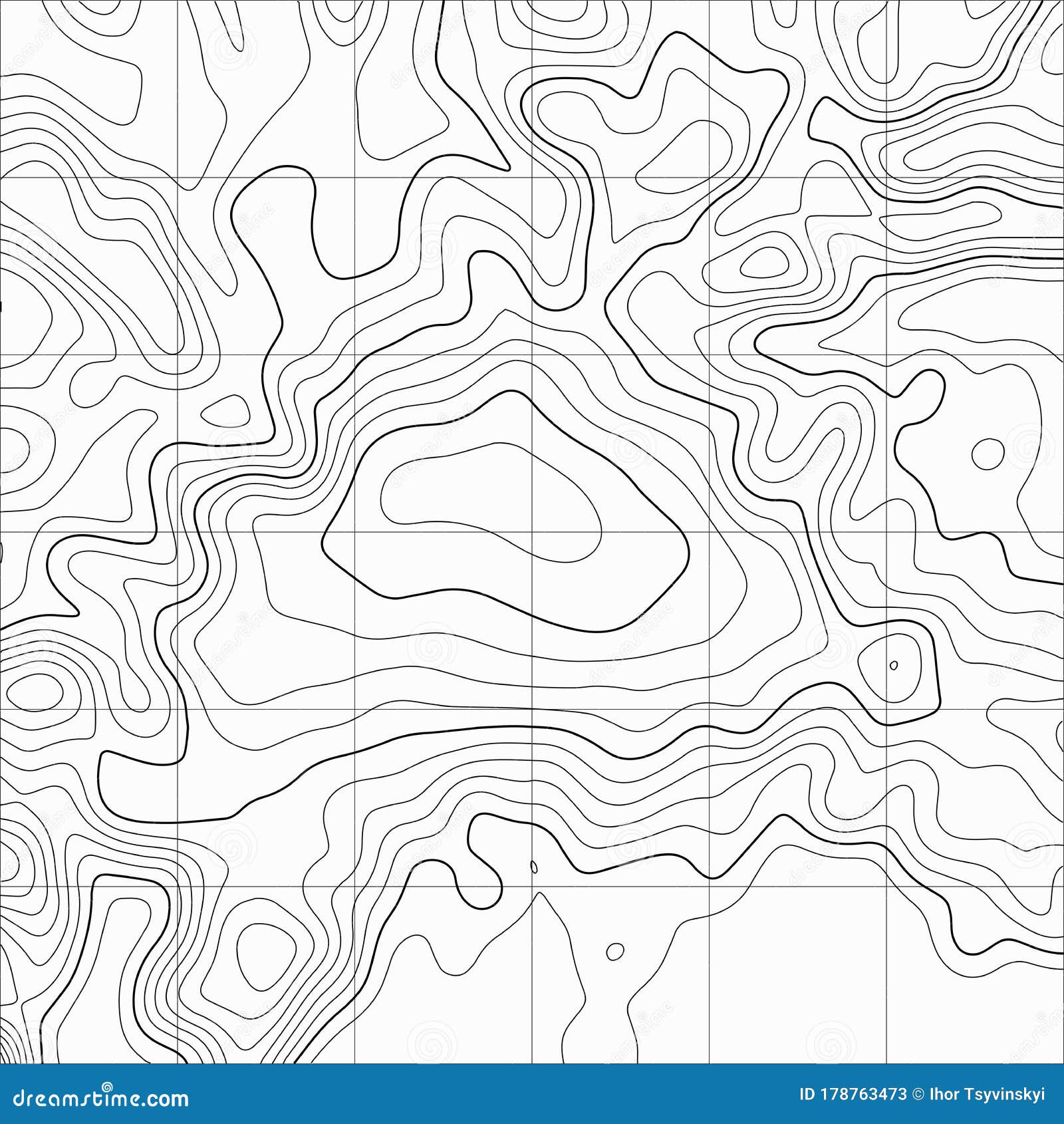 Contour Topographic Map. Geographic Grid Map Background. Vector ...