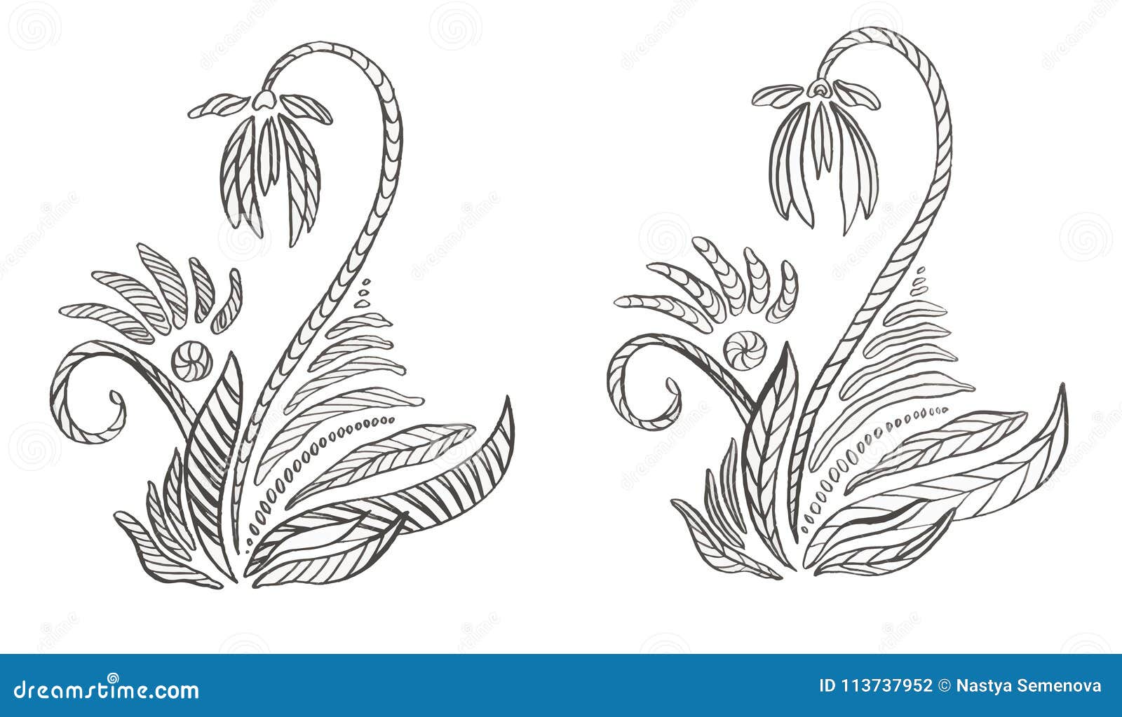Contour Vector Illustration Decorative Flower with Line Elements Stock ...