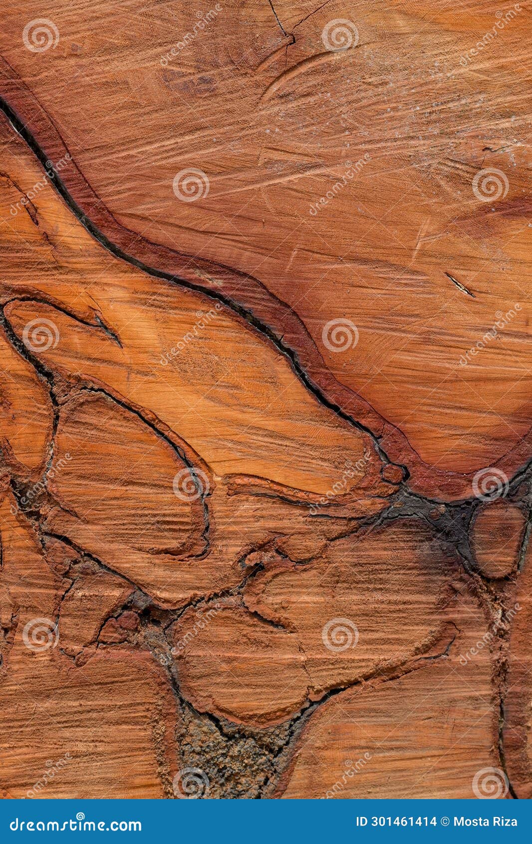 Contoured Wood Texture Background Surface Stock Photo - Image of ...