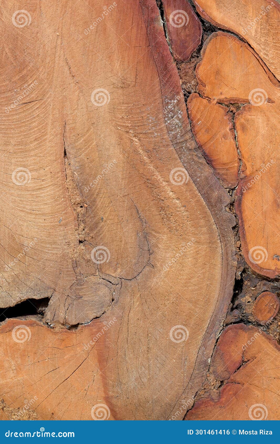 Contoured Wood Texture Background Surface Stock Photo - Image of ...