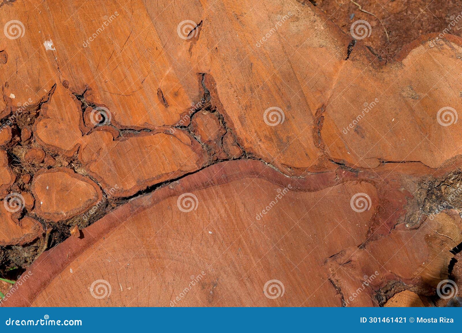 Contoured Wood Texture Background Surface Stock Image - Image of ...