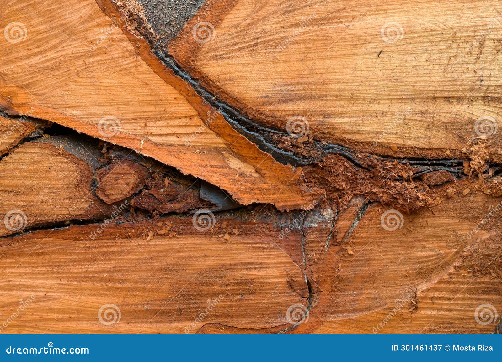 Contoured Wood Texture Background Surface Stock Image - Image of decor ...
