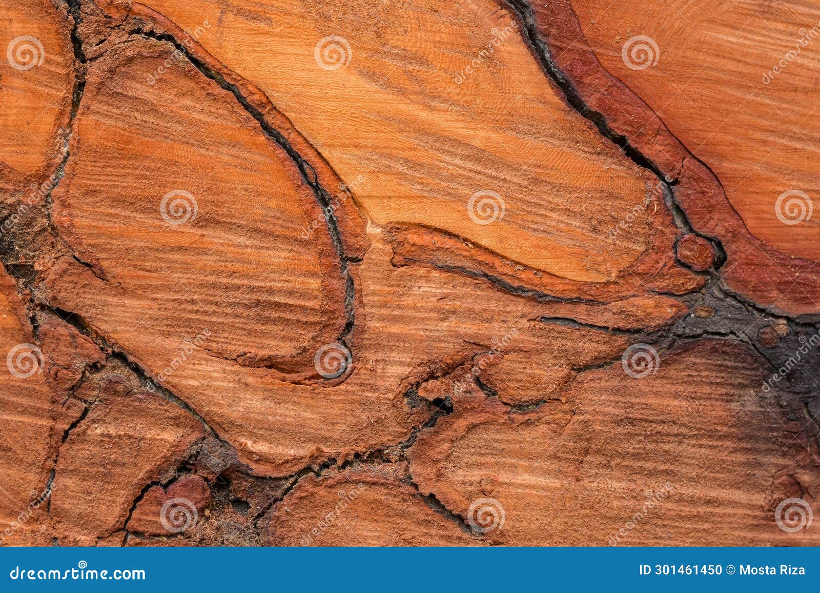 Contoured Wood Texture Background Surface Stock Photo - Image of walnut ...