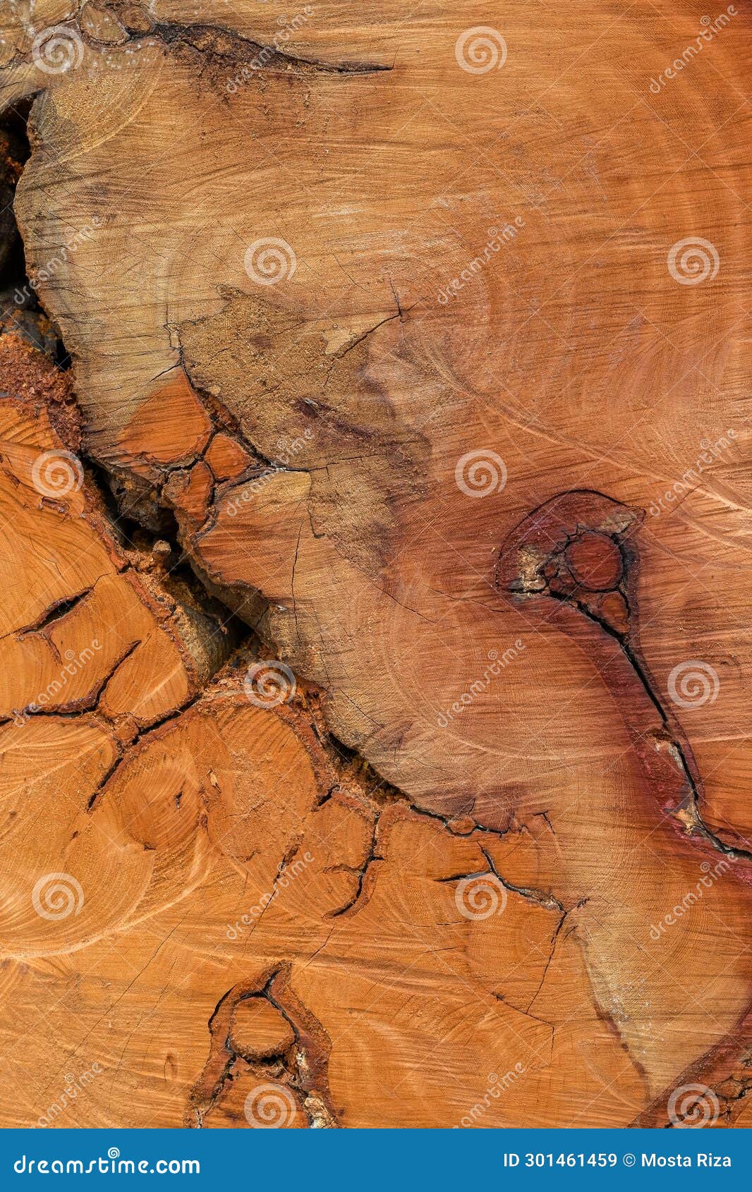 Contoured Wood Texture Background Surface Stock Image - Image of table ...