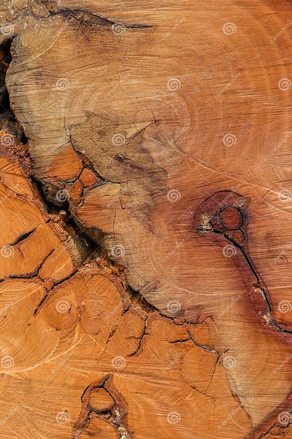 Contoured Wood Texture Background Surface Stock Image - Image of table ...