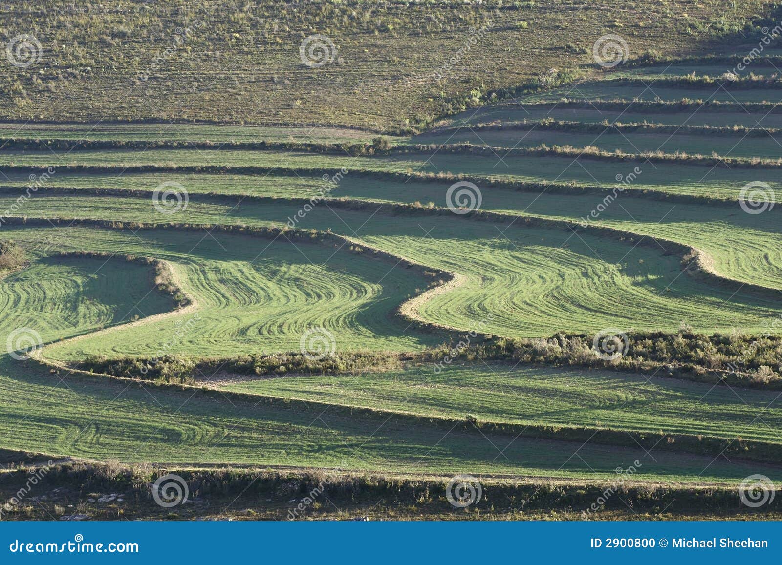 Contours stock photo. Image of green, ridges, shapes, irrigated - 2900800