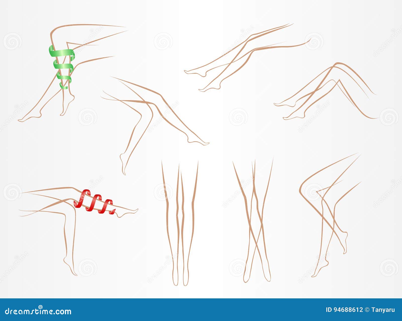 Contours of Slender Female Legs in Various Poses on a Light Background ...