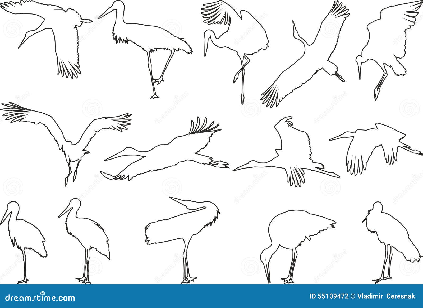 The contours of storks stock vector. Illustration of ornithology - 55109472