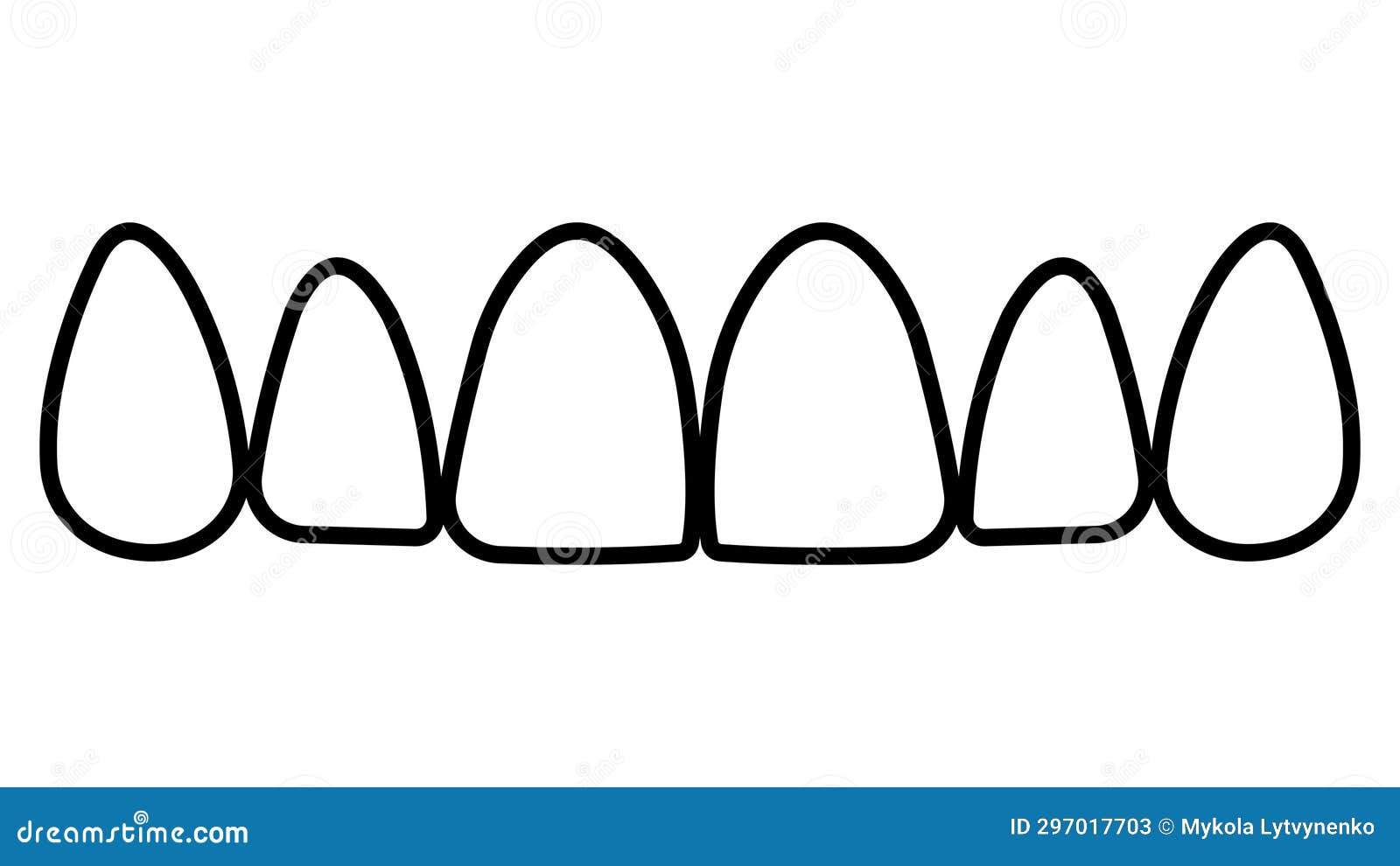 Contours Tooth Upper Jaw, Frontal Teeth Incisors and Canines Stock ...