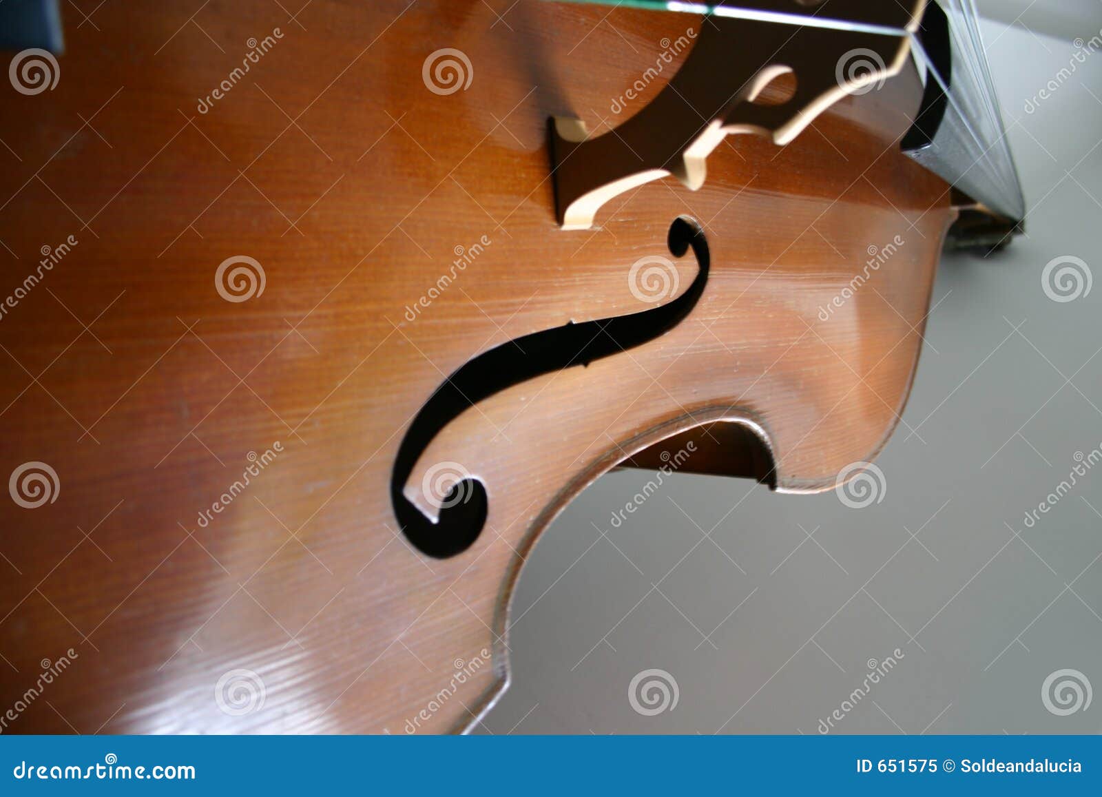 Contra bass stock image. Image of entertainment, indoor - 651575