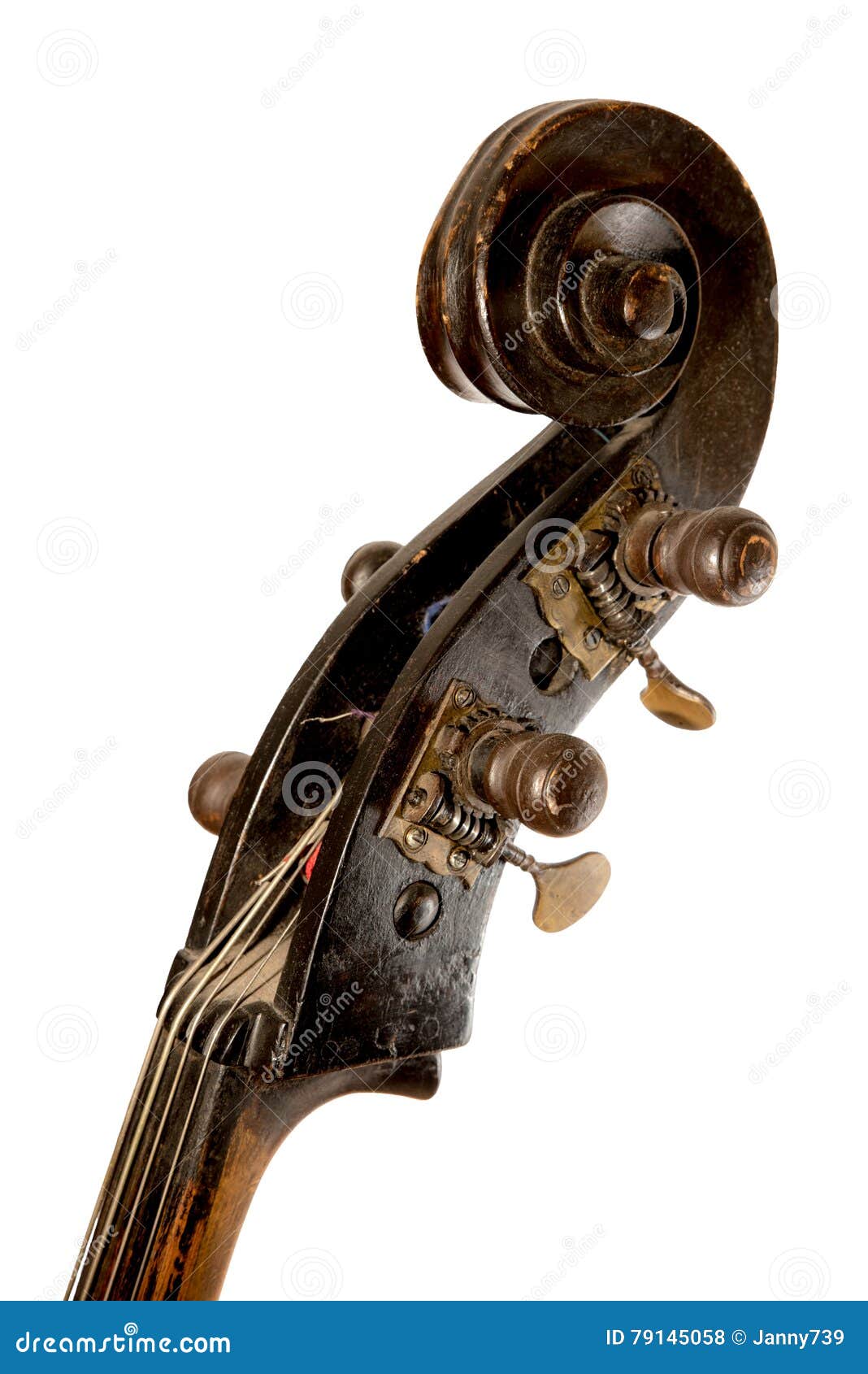 Contra bass head stock photo. Image of vertical, white - 79145058