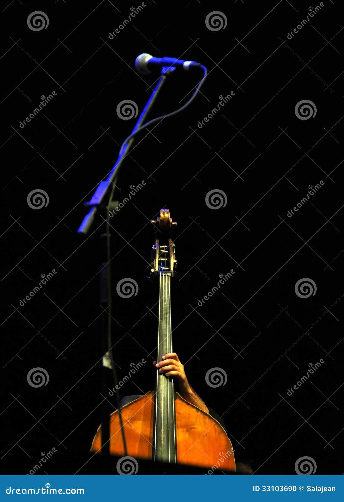 Contra bass and microphone stock photo. Image of equipment - 33103690