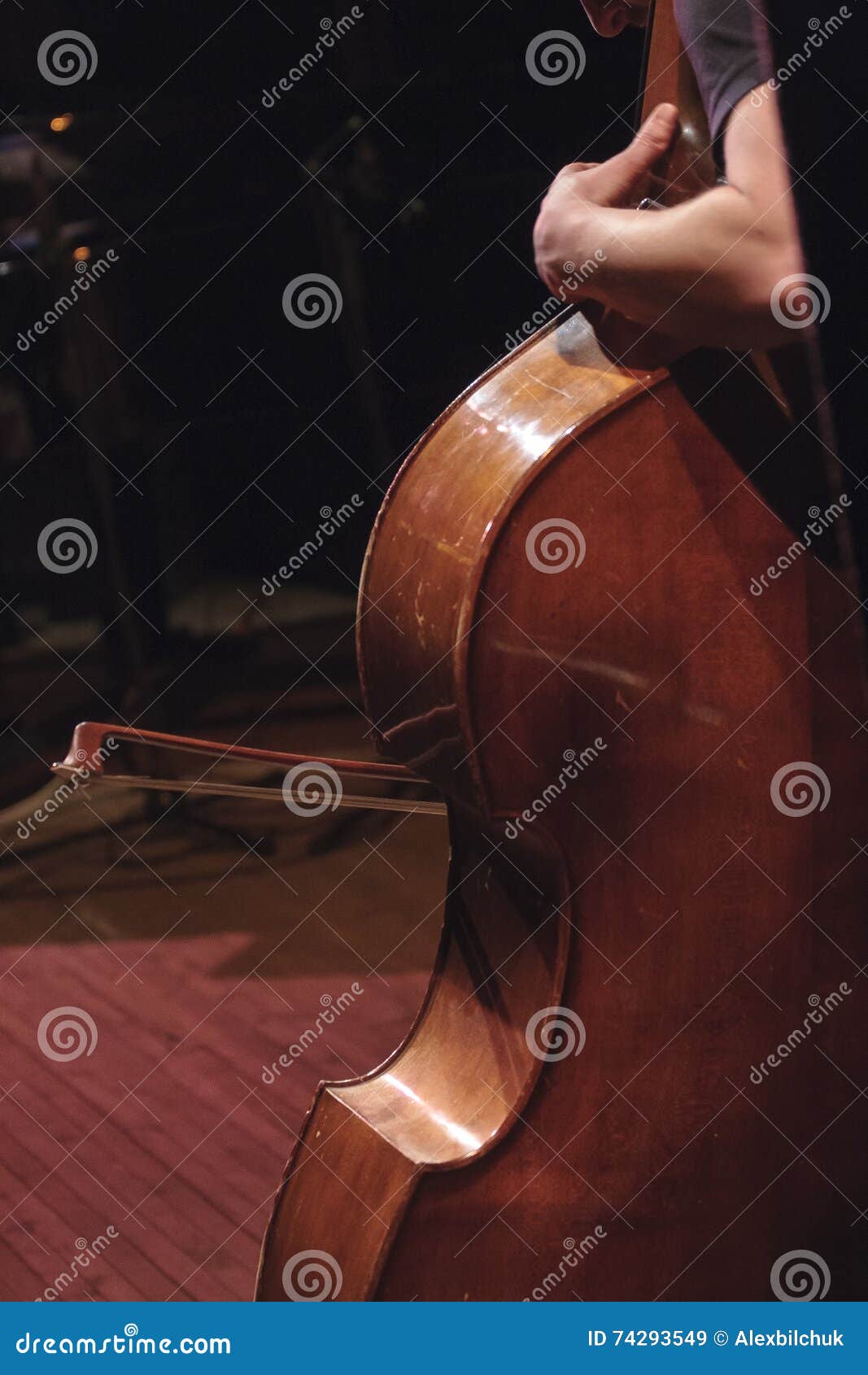 Contra-bass Player Performing Onstage Stock Image - Image of black ...