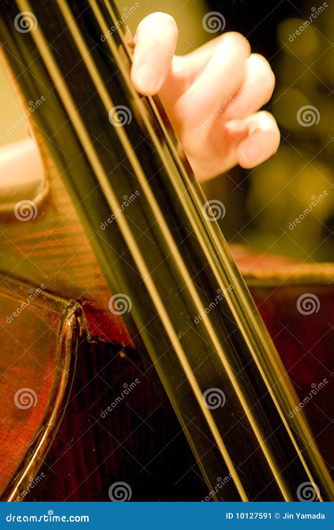 Contrabas stock afbeelding. Image of baarzen, muziek - 10127591