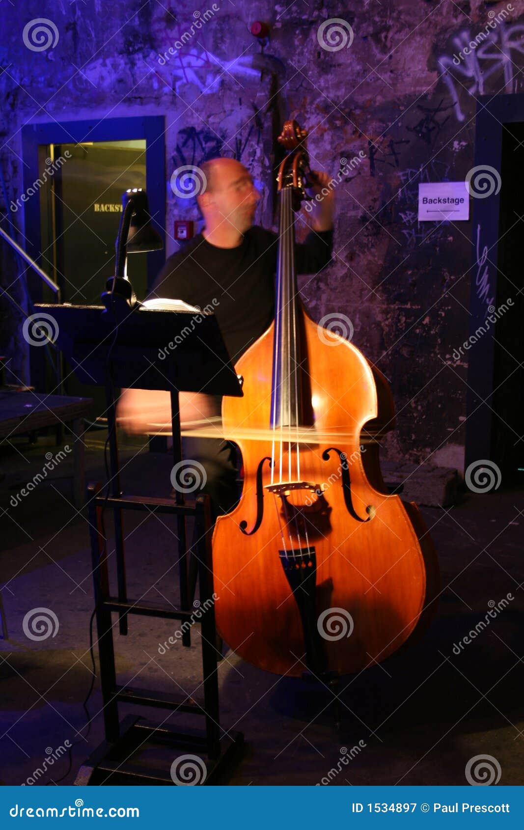 Contrabass stock image. Image of concert, finger, classical - 1534897