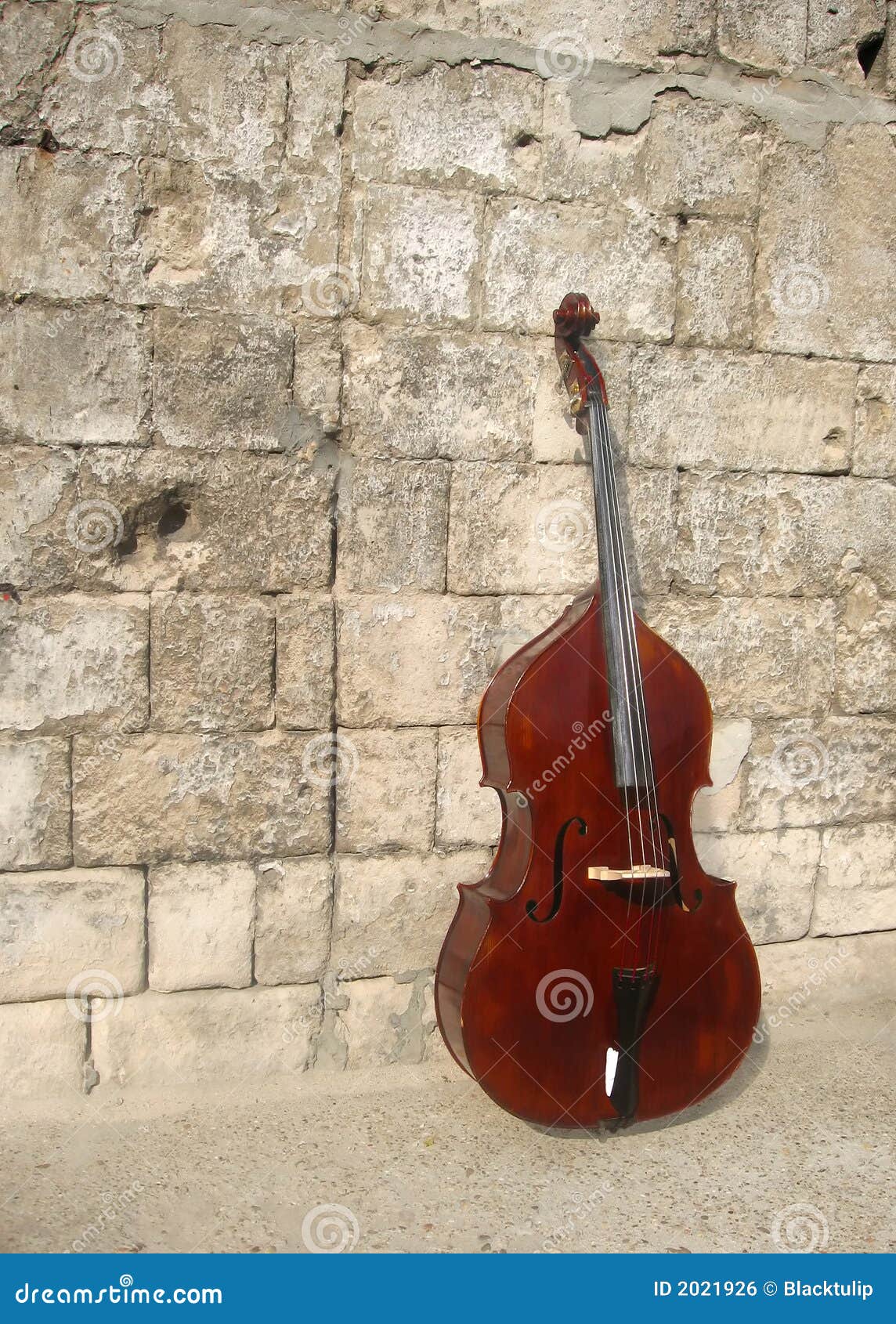 Contrabass stock photo. Image of melody, symphony, play - 2021926