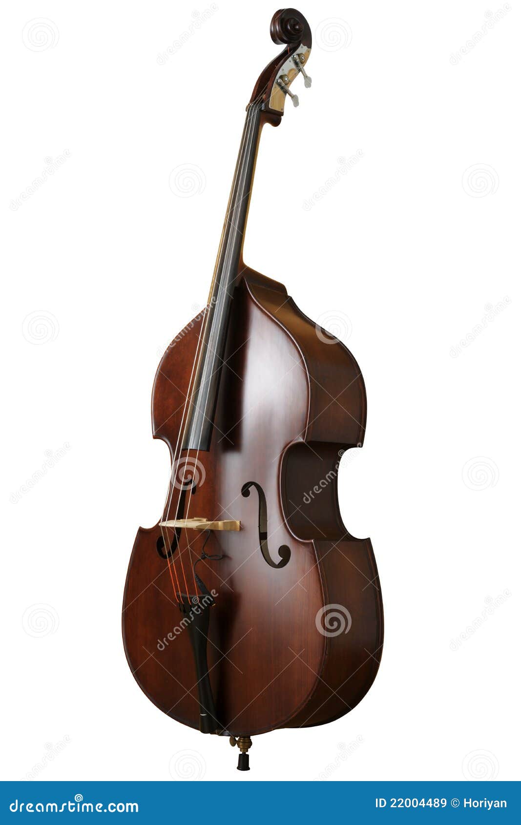 Contrabass stock image. Image of bass, single, skill - 22004489