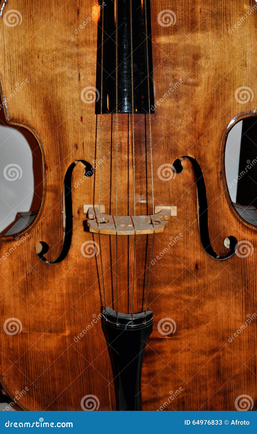 Contrabass stock image. Image of jazz, musician, contrabass - 64976833