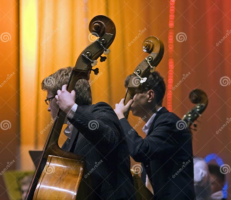 Contrabass players editorial stock image. Image of harmony - 12727539