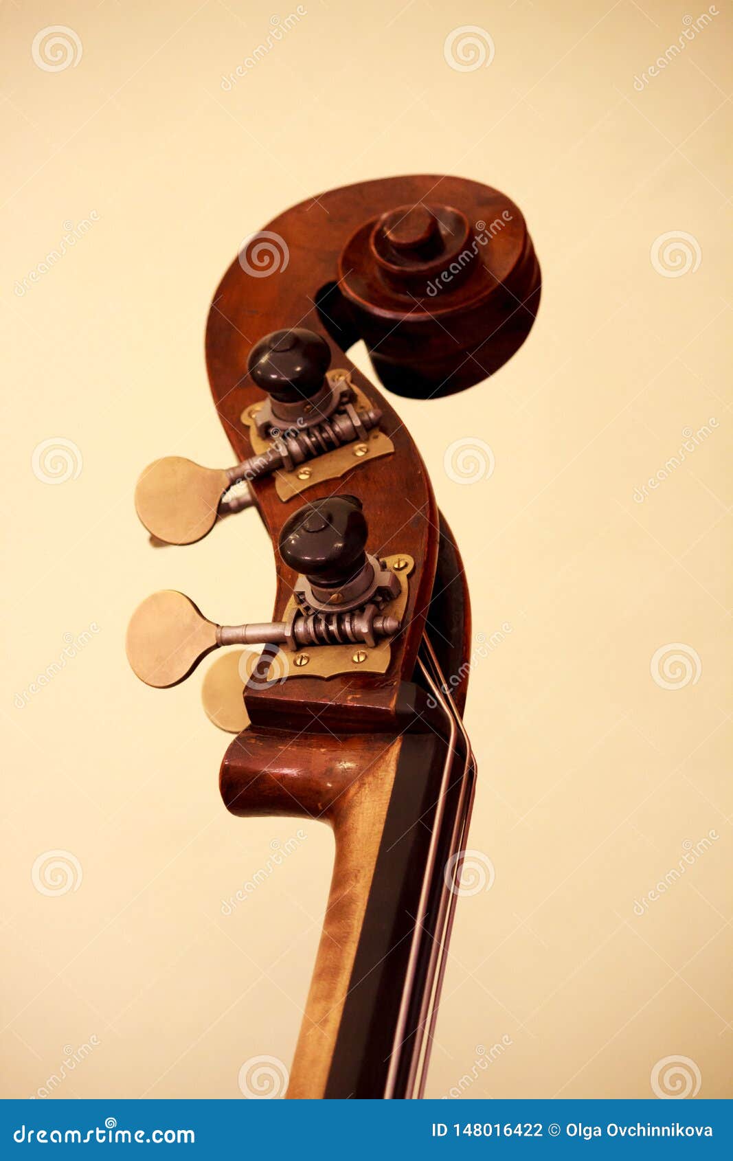 The Contrabass is the Second Largest in Size and the Second Lowest in ...