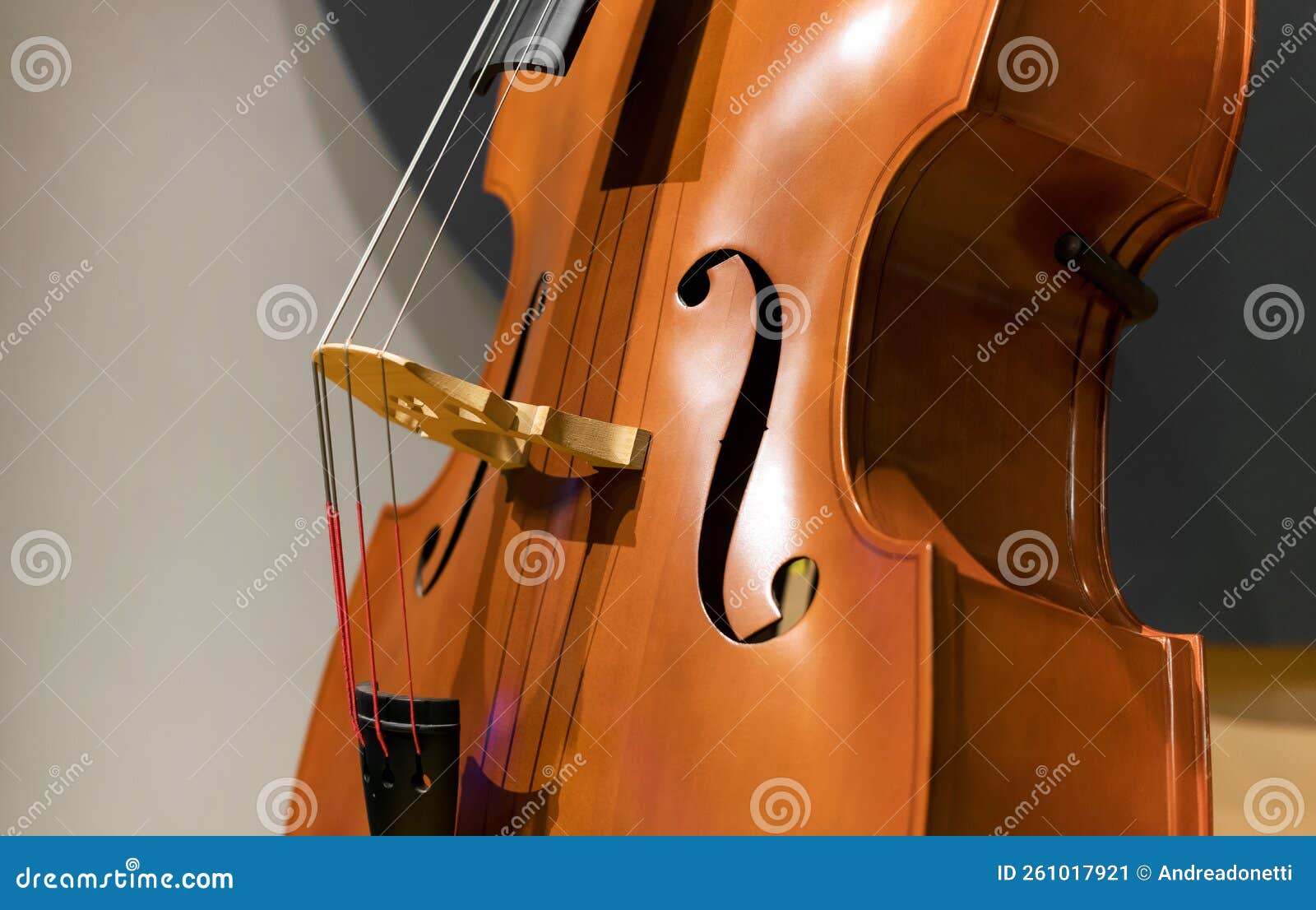 Contrabass with Strings during Rehearsal Stock Image - Image of bass ...