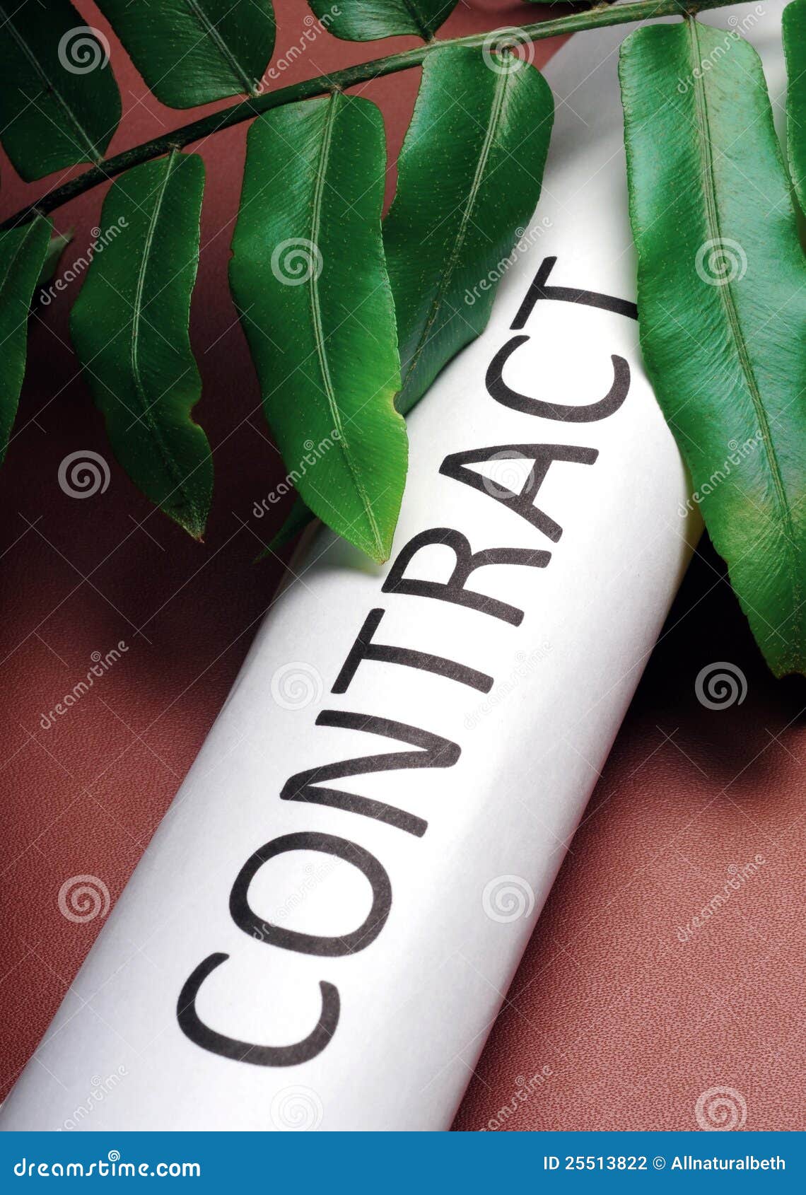 A Contract for Green and Sustainable Business Stock Photo - Image of ...