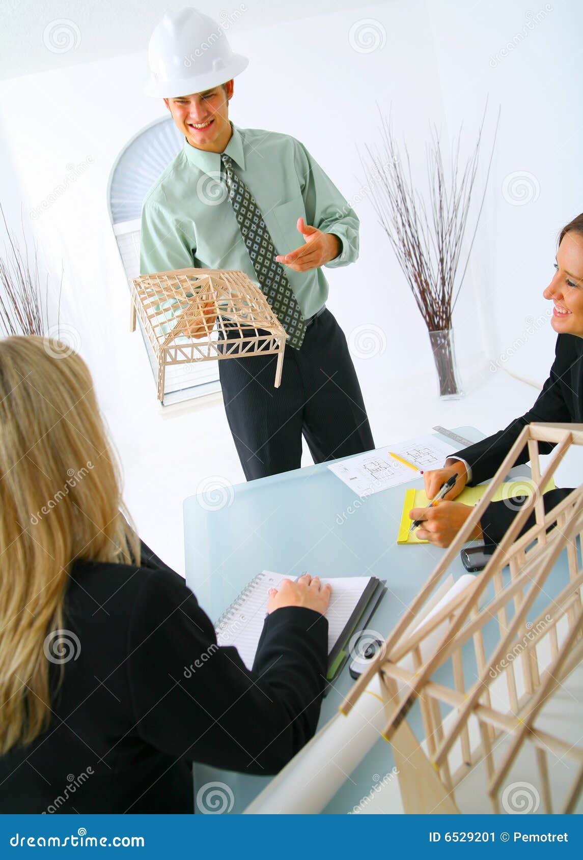 Contractor Presenting Project To Businesswoman Picture. Image: 6529201