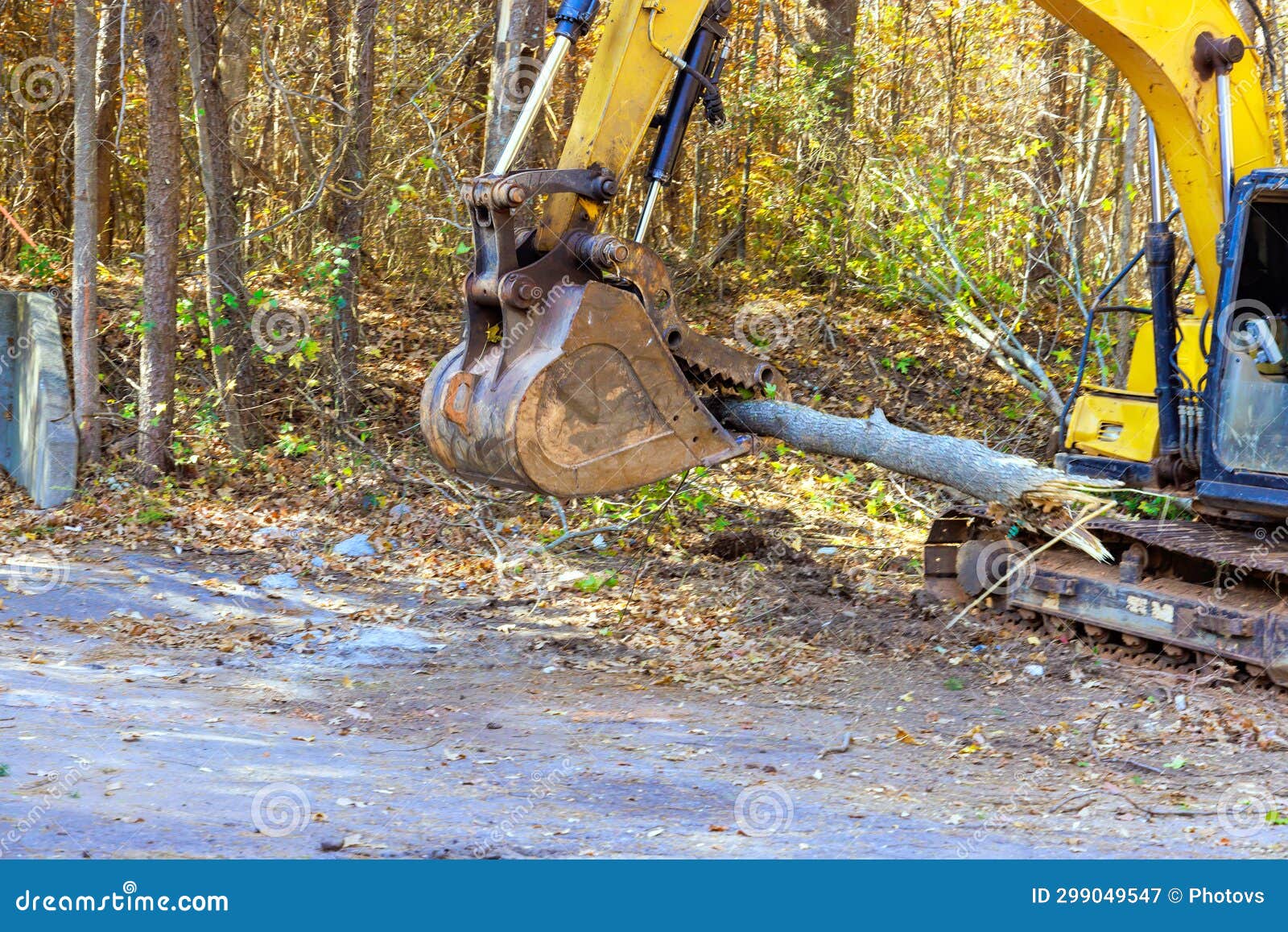 A Contractor Uproots Trees with Tractor in Forest at Preparation for ...