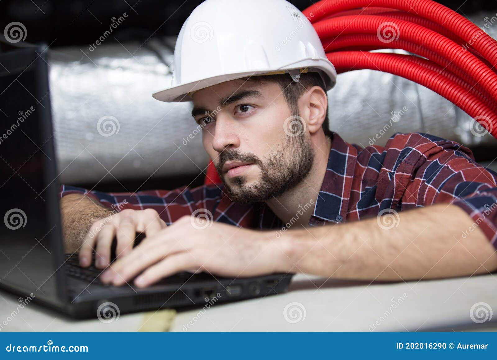 Contractor Using Laptop in Roofspace Stock Photo - Image of examine ...