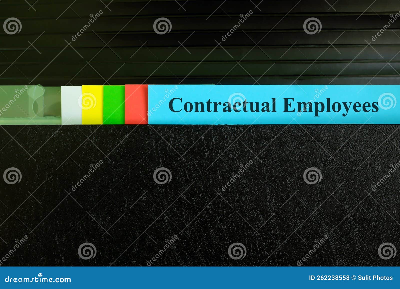 Contractual Employees File Record in Black Binder Folder. Human ...
