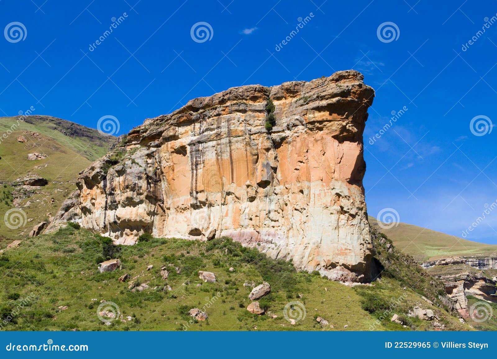 Contraforte de Brandwag imagem de stock. Imagem de dourado - 22529965