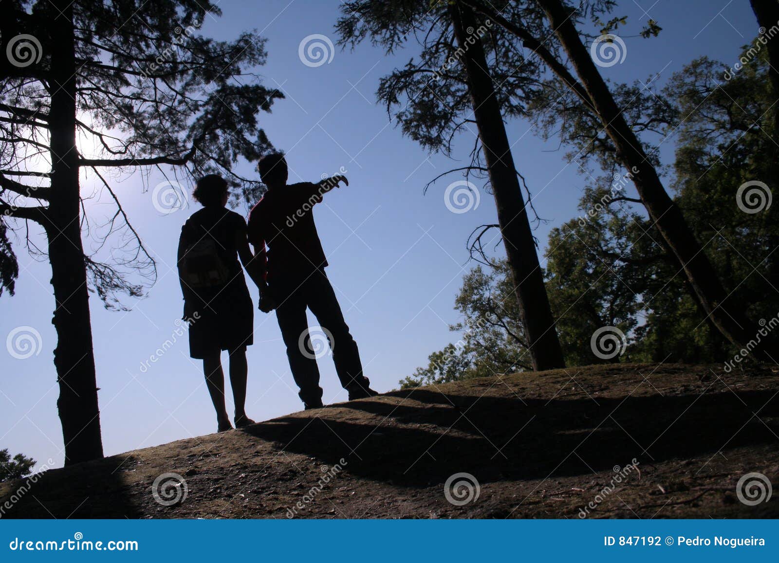 Contraluz_05 stock photo. Image of nature, light, horizon - 847192