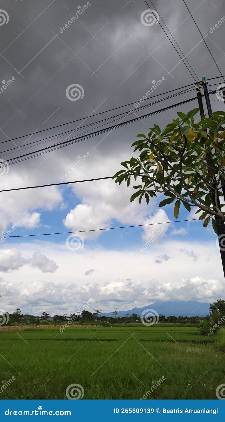 The Contrast between Earth and Sky Stock Image - Image of contrast ...