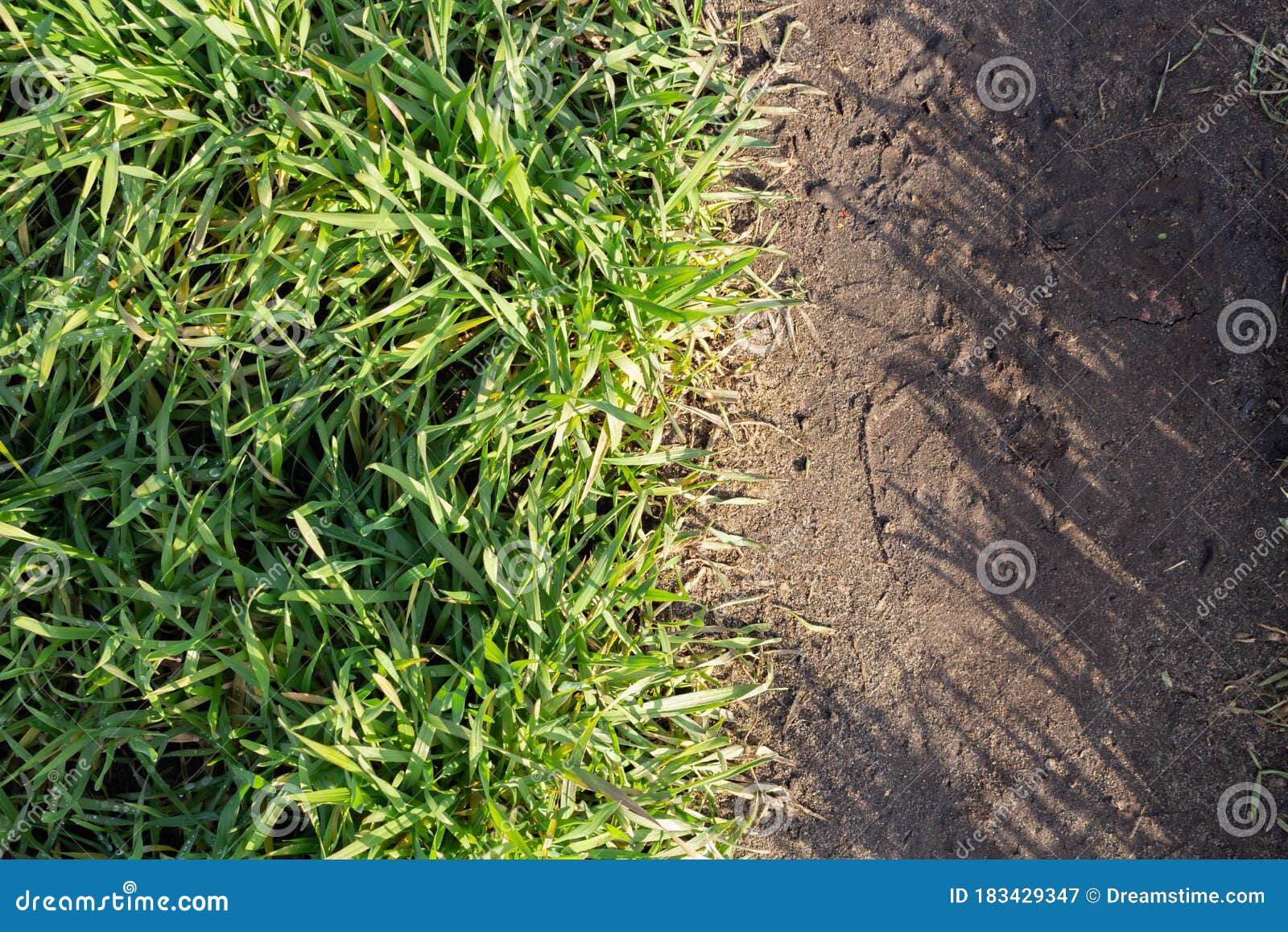 Contrast of Grass and Earth Stock Image - Image of environment, park ...