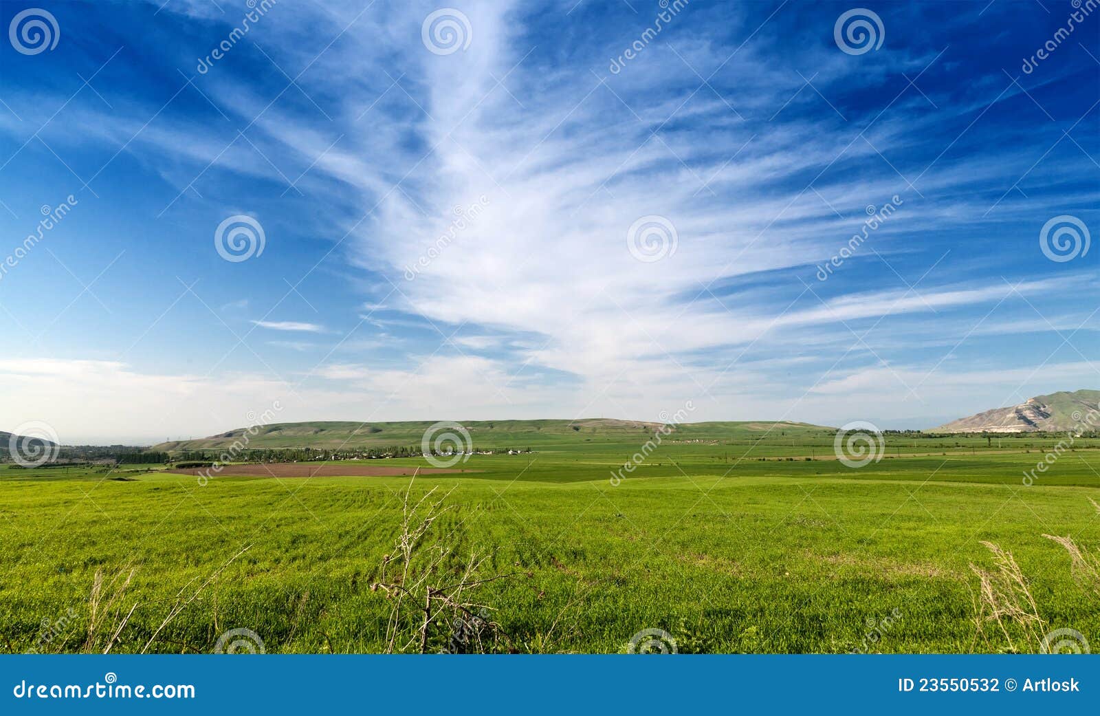 Contrast Landscape in the Fields Stock Photo - Image of nature, scene ...
