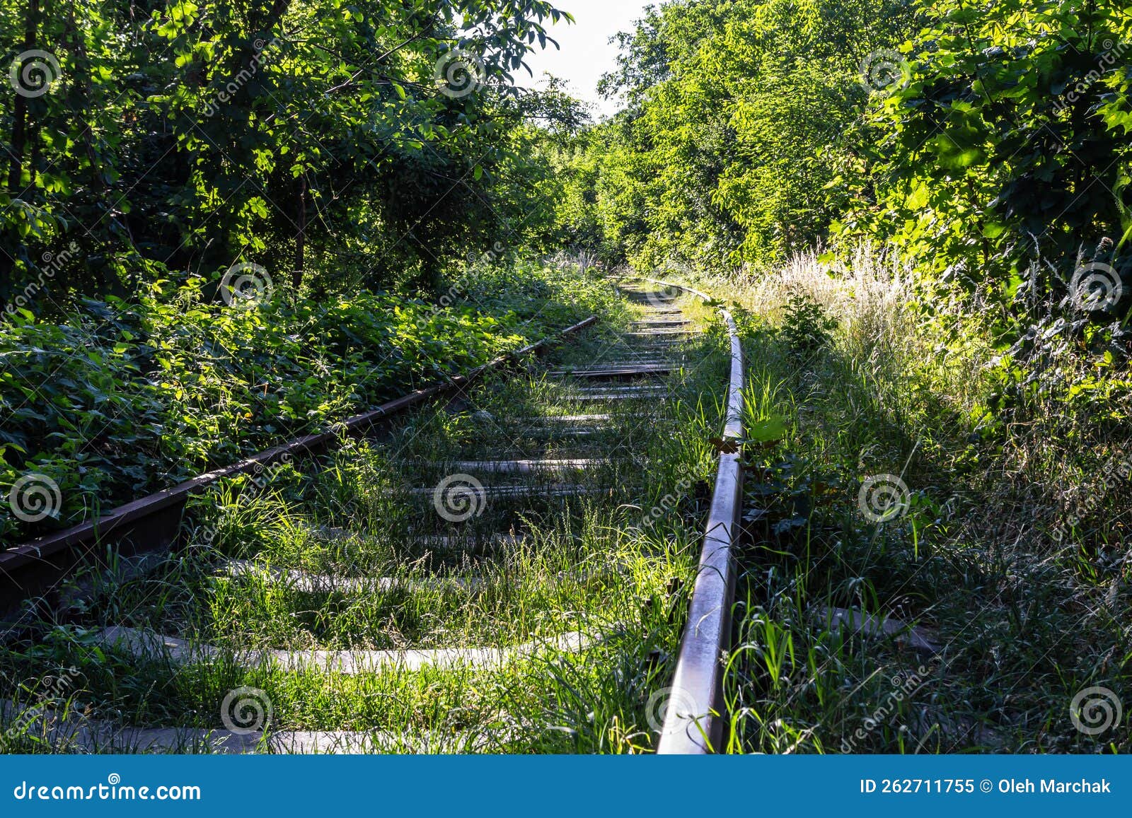 Contrast Rusty Train Railway in Green Grass Overgrown Stock Image ...