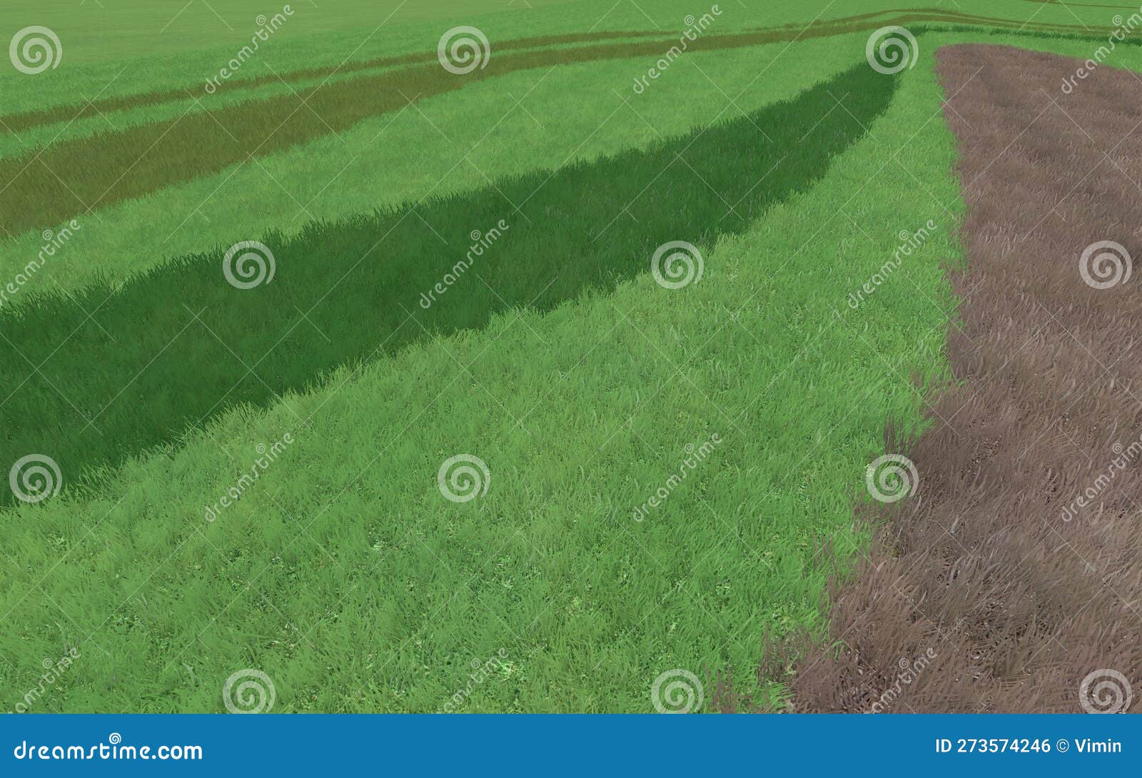 Contrasting Composition of Different Lawn Surfaces in Smooth Lines ...