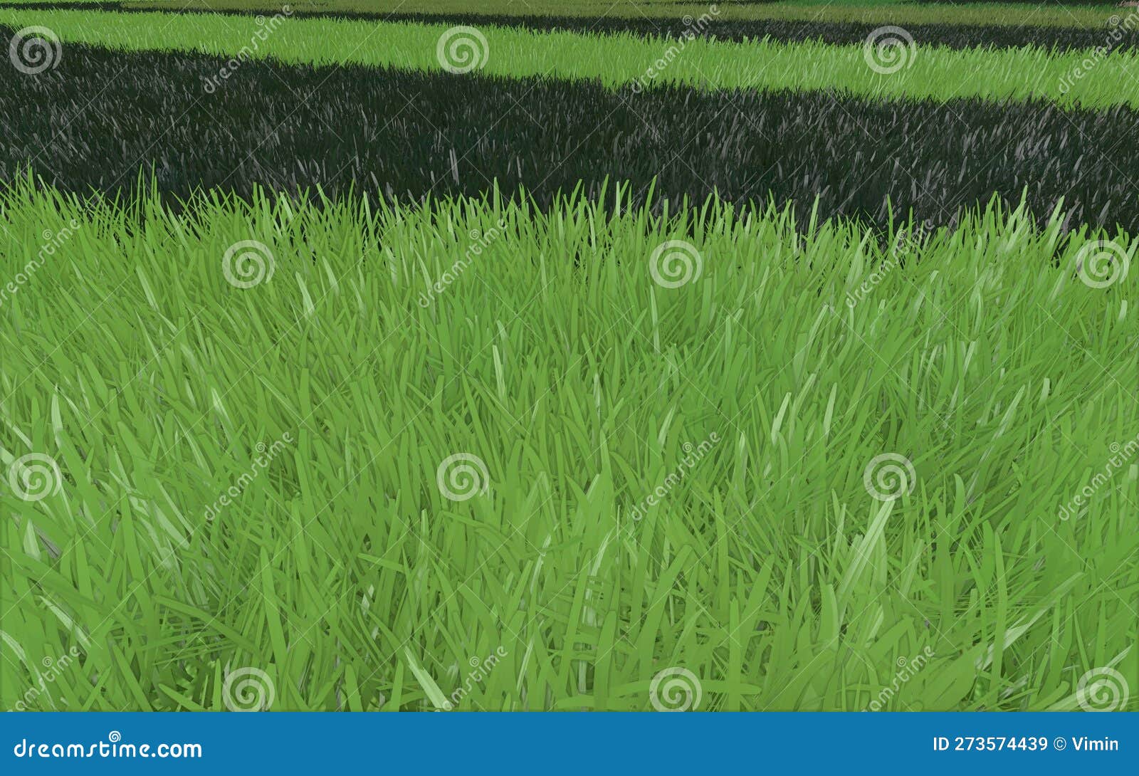 Contrasting Composition of Different Lawn Surfaces in Smooth Lines ...