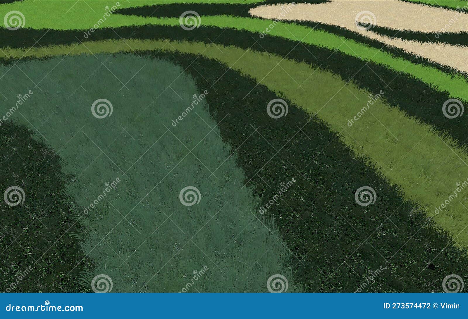 Contrasting Composition of Different Lawn Surfaces in Smooth Lines ...