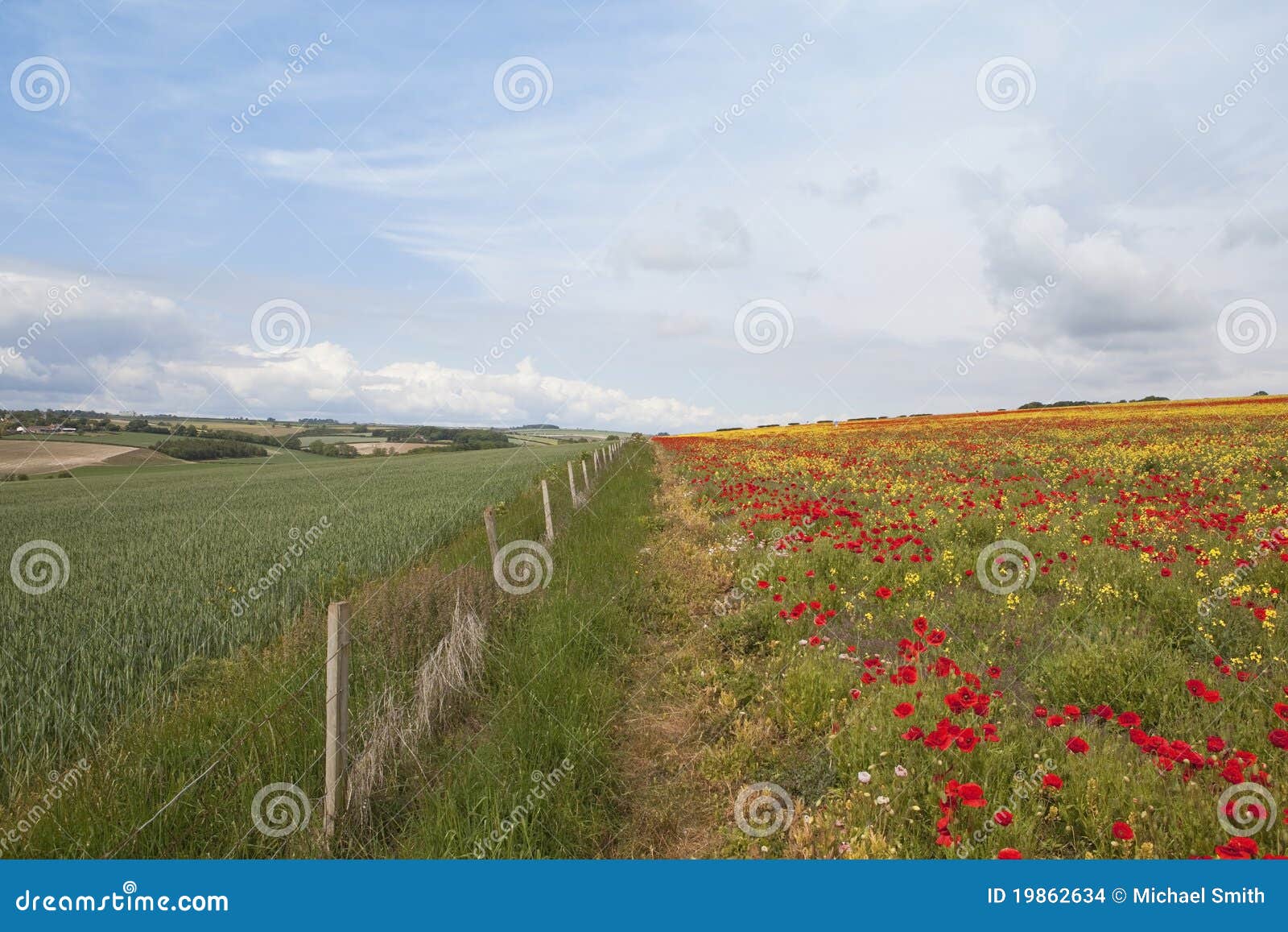 Contrasting landscape stock photo. Image of yorkshire - 19862634