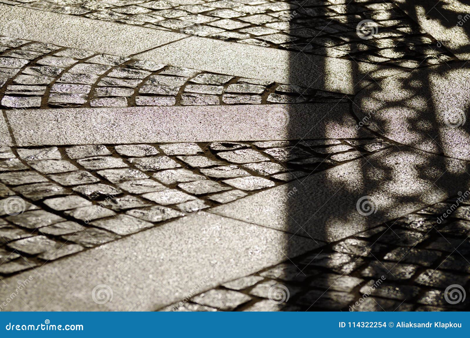 The Contrasting Shadow On The Pavement From The Wrought-iron Gate ...