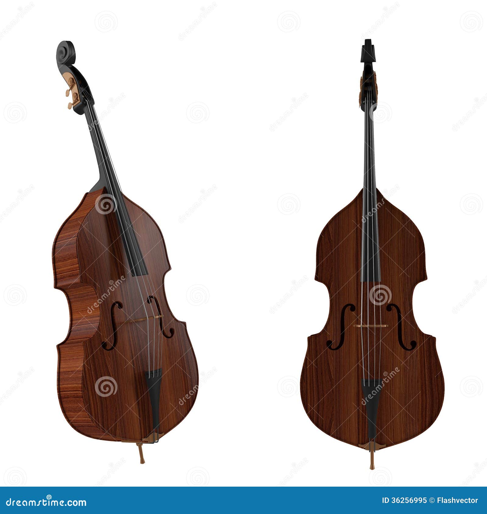 Contrebasse, Double Basse. Instrument De Musique Classique Illustration ...
