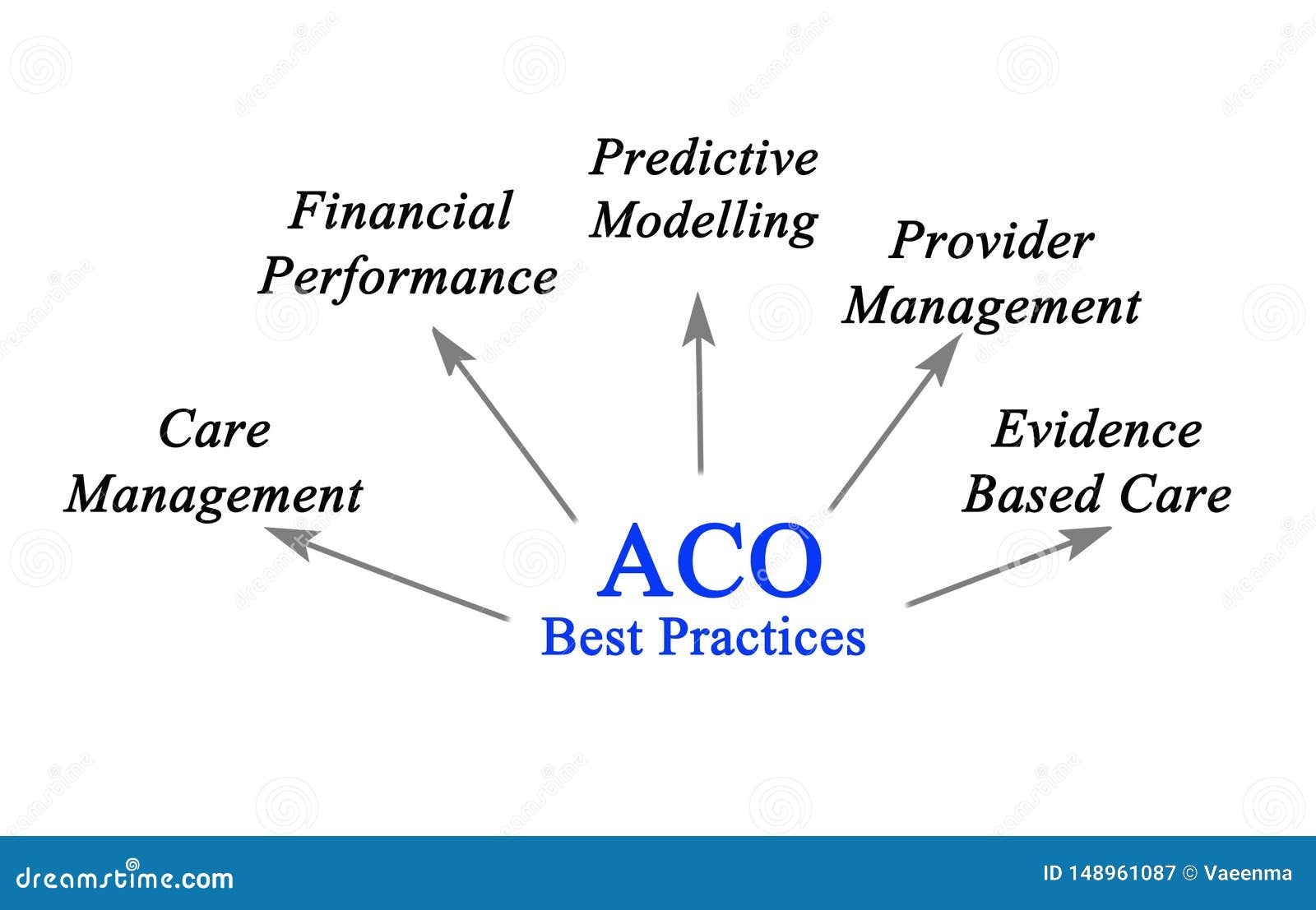 ACO Best Practices stock illustration. Illustration of organization ...